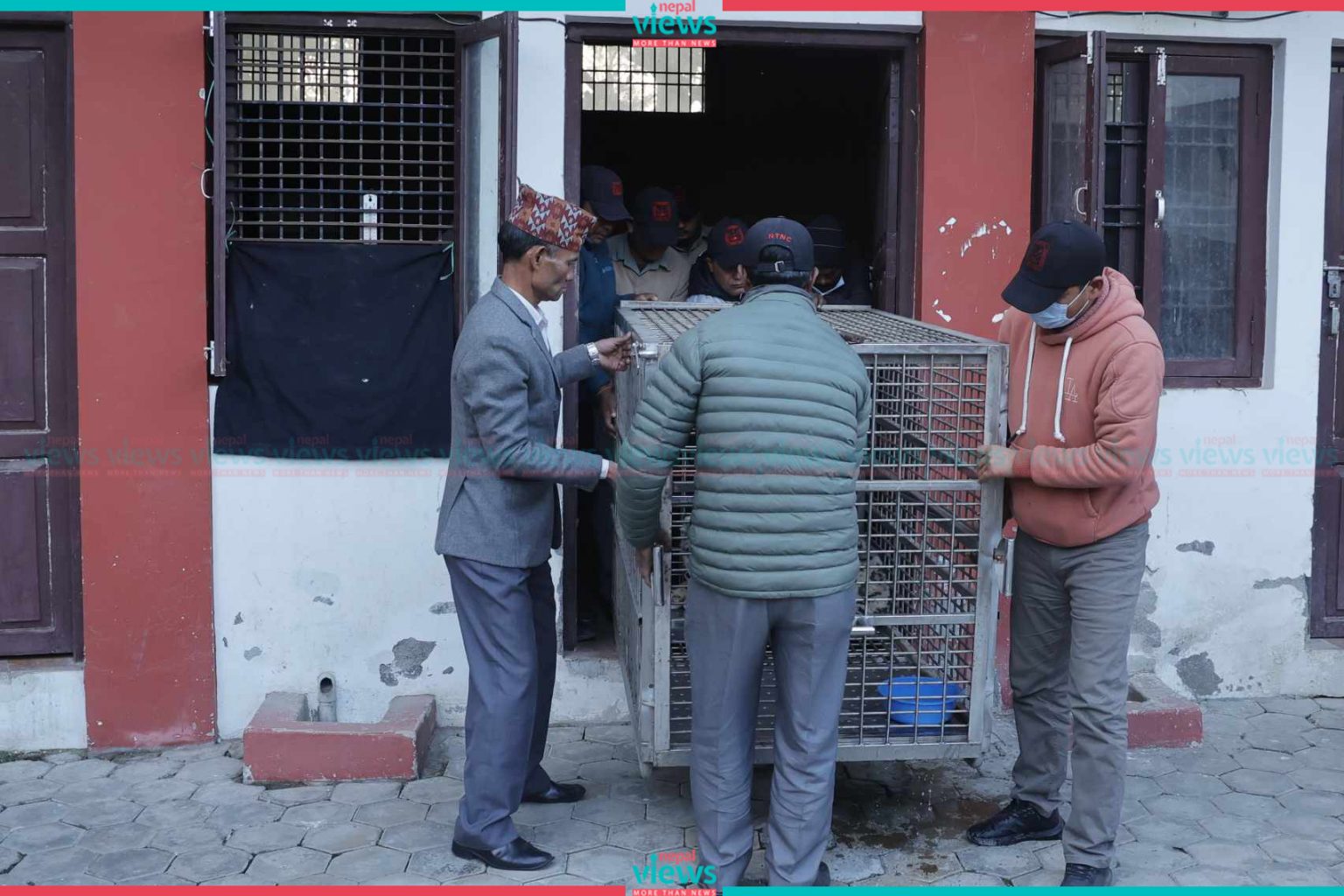 A.C. installed room for Snow Leopard in Central Zoo (Photo Feature ...