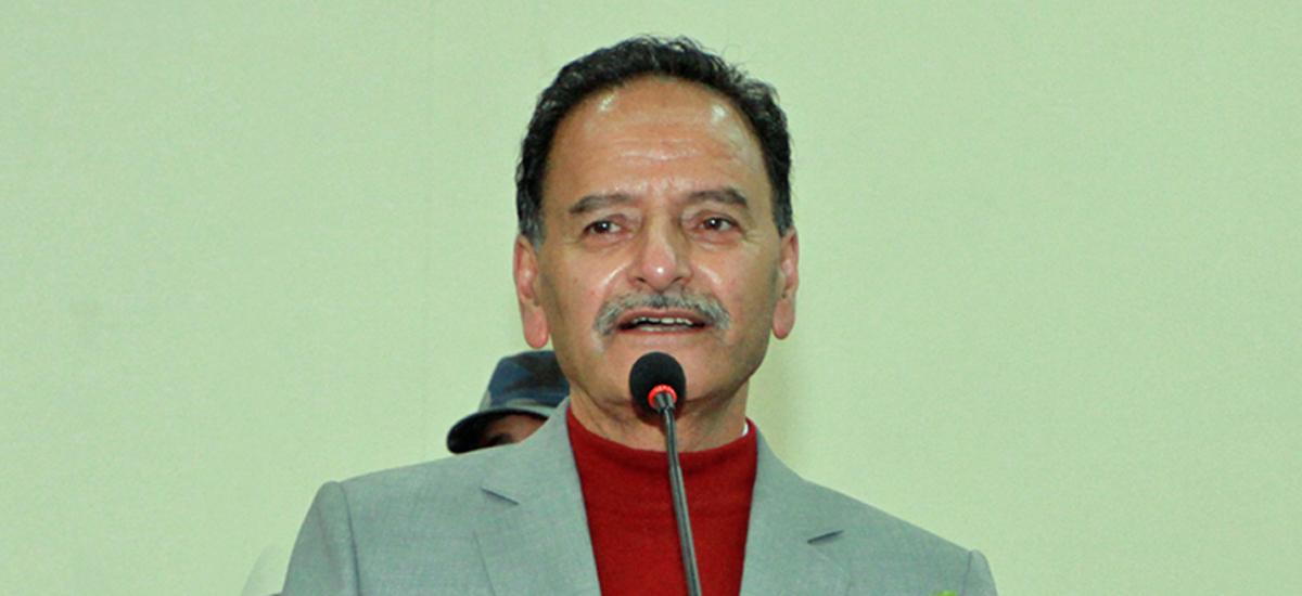 Day at a Glance: From Sitaula's suggestion on reformation of parties to ...