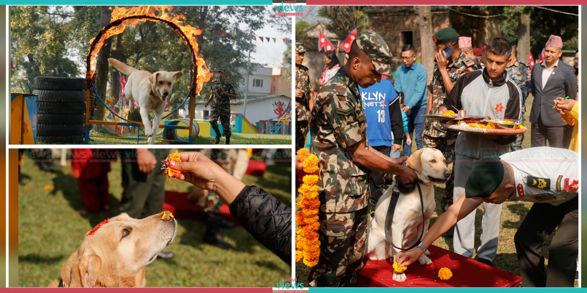 Dog Tihar in Nepal Army's Bhairava Vahanam Gulm (Photo Feature) | Nepal ...