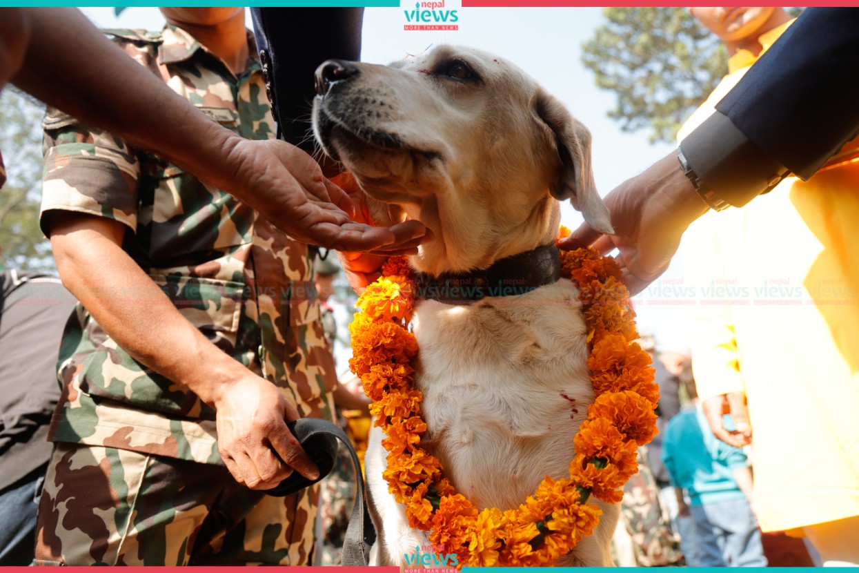 Dog Tihar in Nepal Army's Bhairava Vahanam Gulm (Photo Feature) | Nepal ...