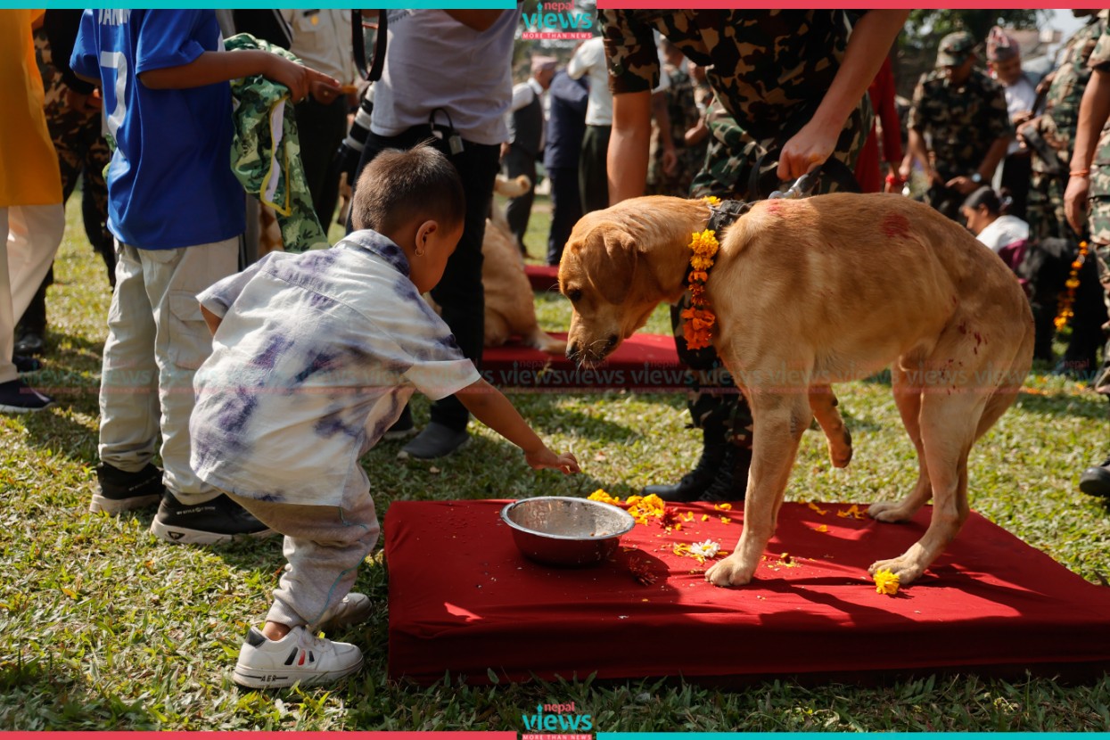 Dog Tihar in Nepal Army's Bhairava Vahanam Gulm (Photo Feature) | Nepal ...