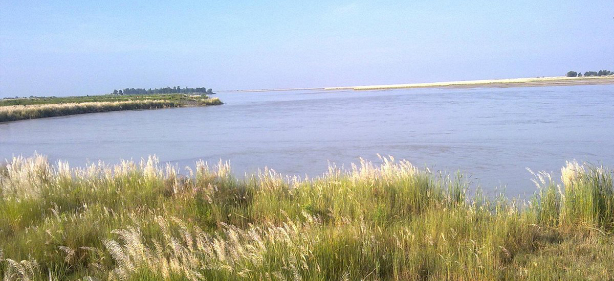 पुष्पा र अञ्जलीलाई मंगलबार कोशी पठाइँदै | Nepal Views: Voices ...