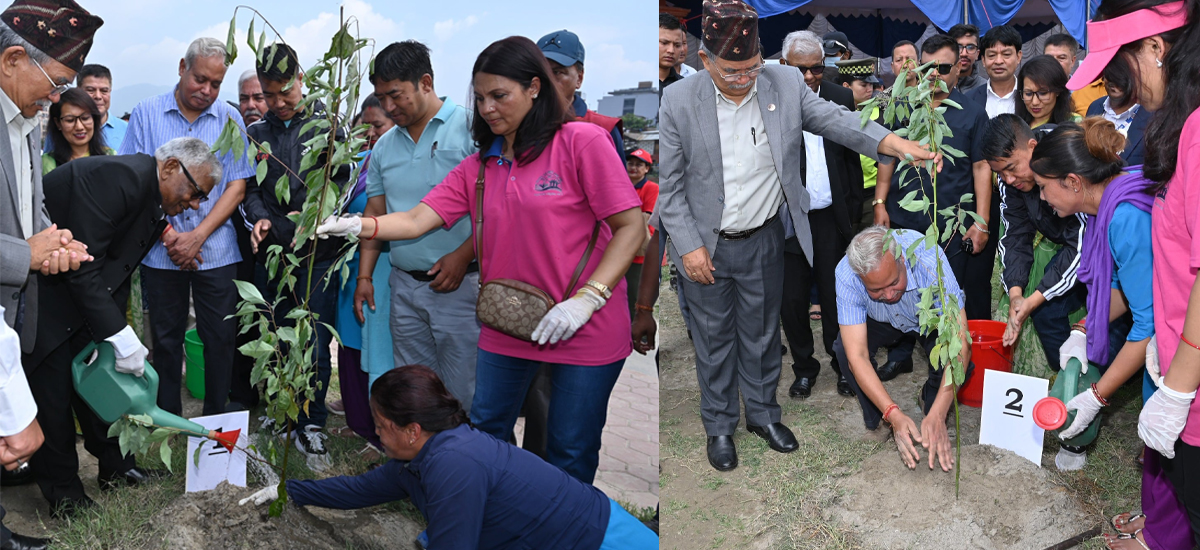 बिरुवा रोपेर नेपालस्थित भारतीय राजदूतावासले मनायो विश्व वातावरण दिवस ...