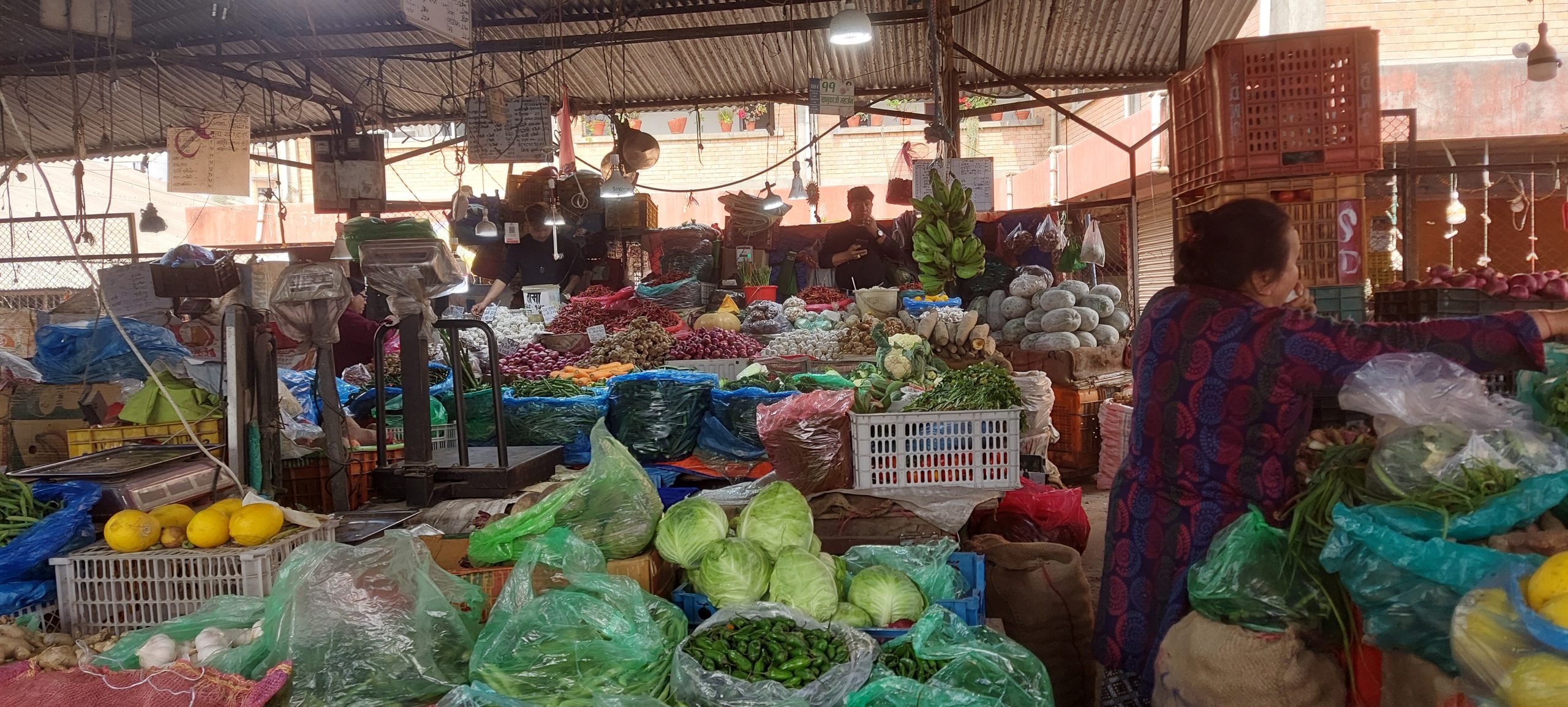 यस्तो छ आज ७९ प्रकारका तरकारी र २३ प्रकारका फलफूलको थोक मूल्य | Nepal ...